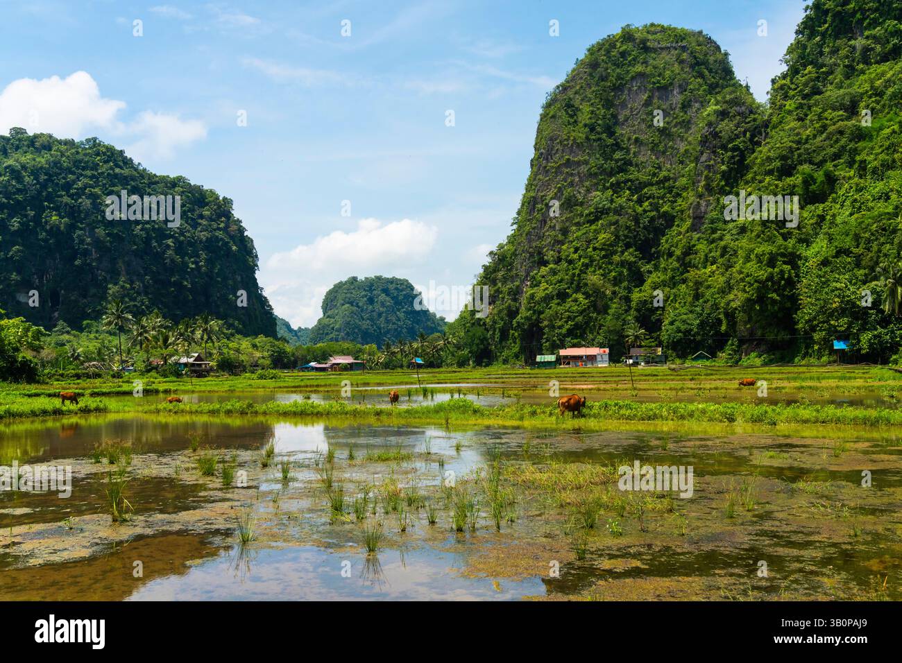 Exploring Rammang Rammang in South Sulawesi, Indonesia. Home to the ...