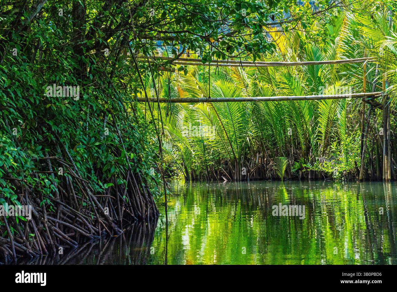 Exploring Rammang Rammang in South Sulawesi, Indonesia. Home to the ...