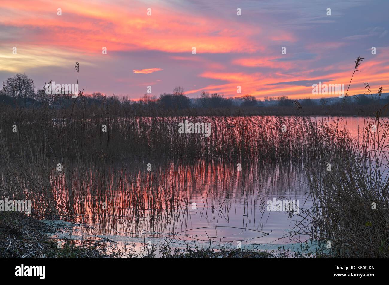 First light on a winters morning over the nature reserve at RSPB Ham ...