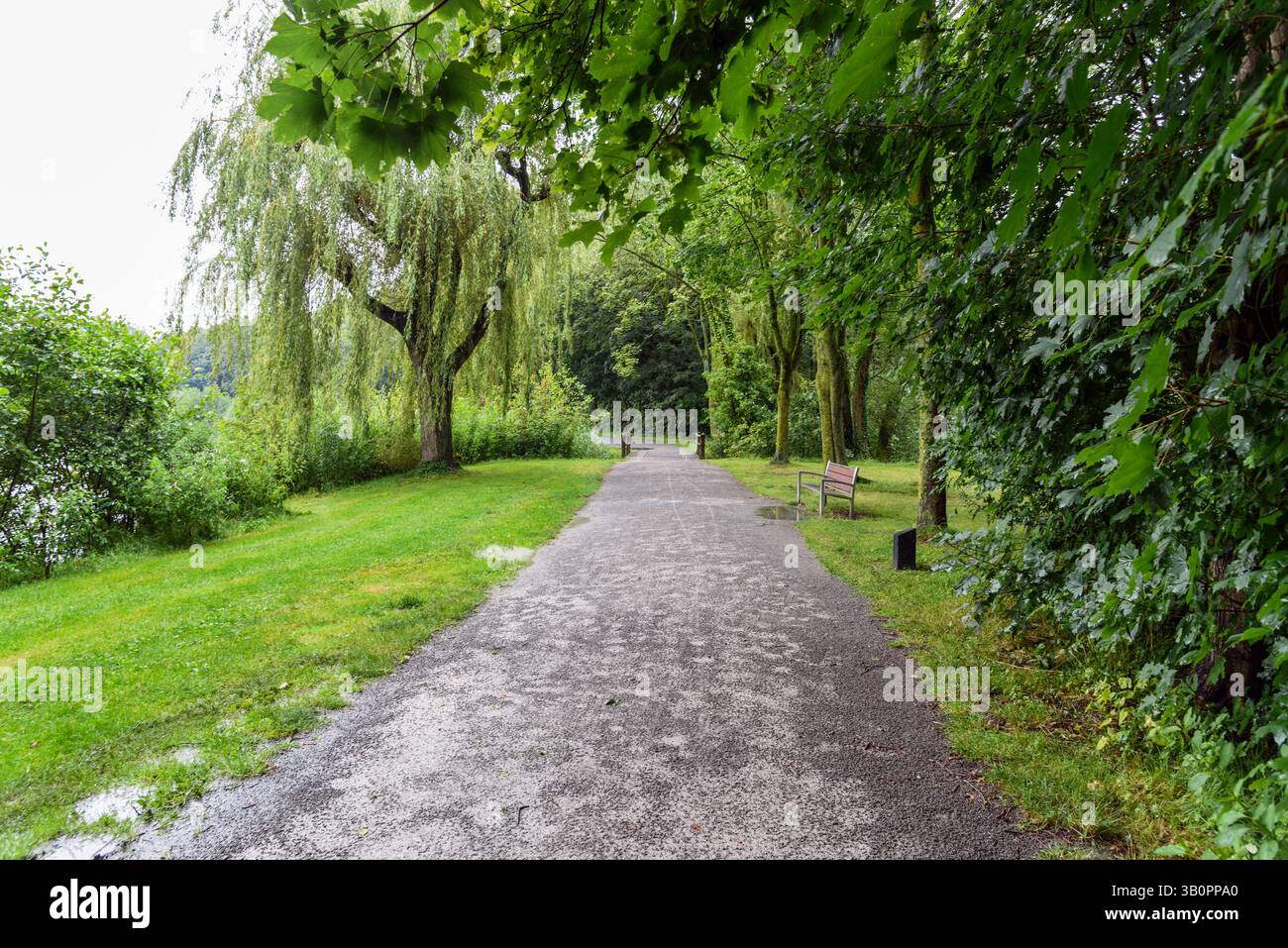 Empty bench along a deserted muddy path in a riverside park on a rainy ...