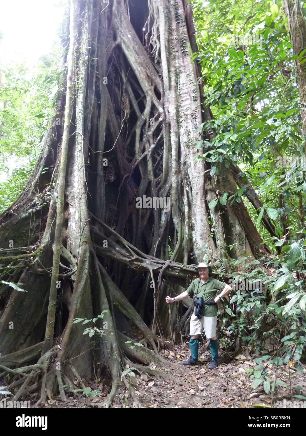 Undated handout photo of Robin Hanbury-Tenison in Borneo. The veteran ...