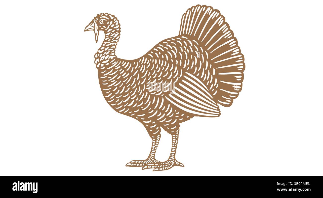 Turkey. Vintage retro print Stock Vector Image & Art - Alamy