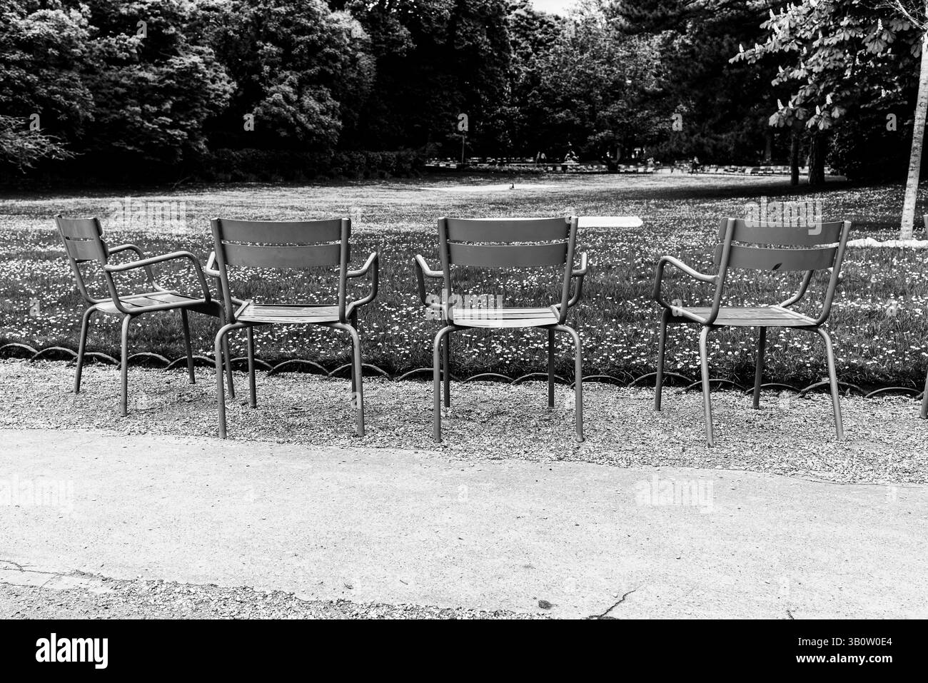 A black and white photo of metal garden chairs in a park Stock Photo ...