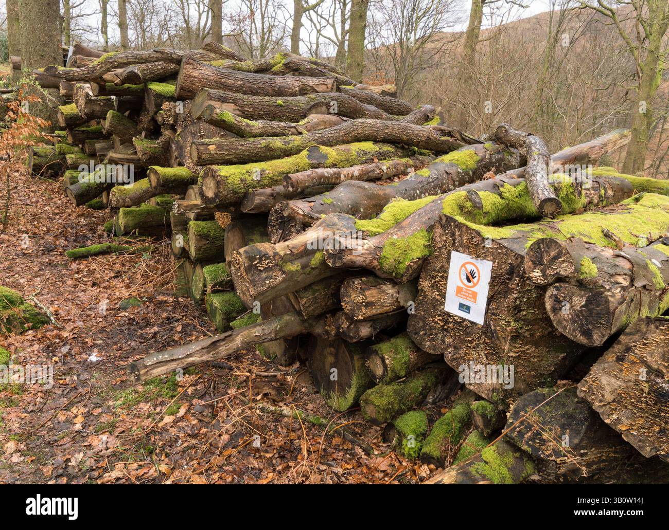 Pile of cut timber logs with warning notice "Do not climb on timber ...