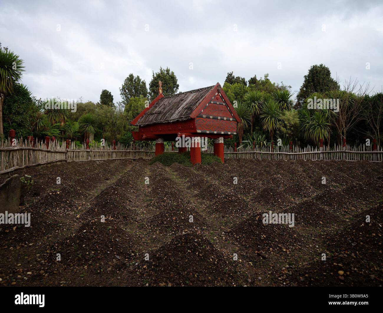Te Parapara traditional indigenous culture Maori productive garden ...
