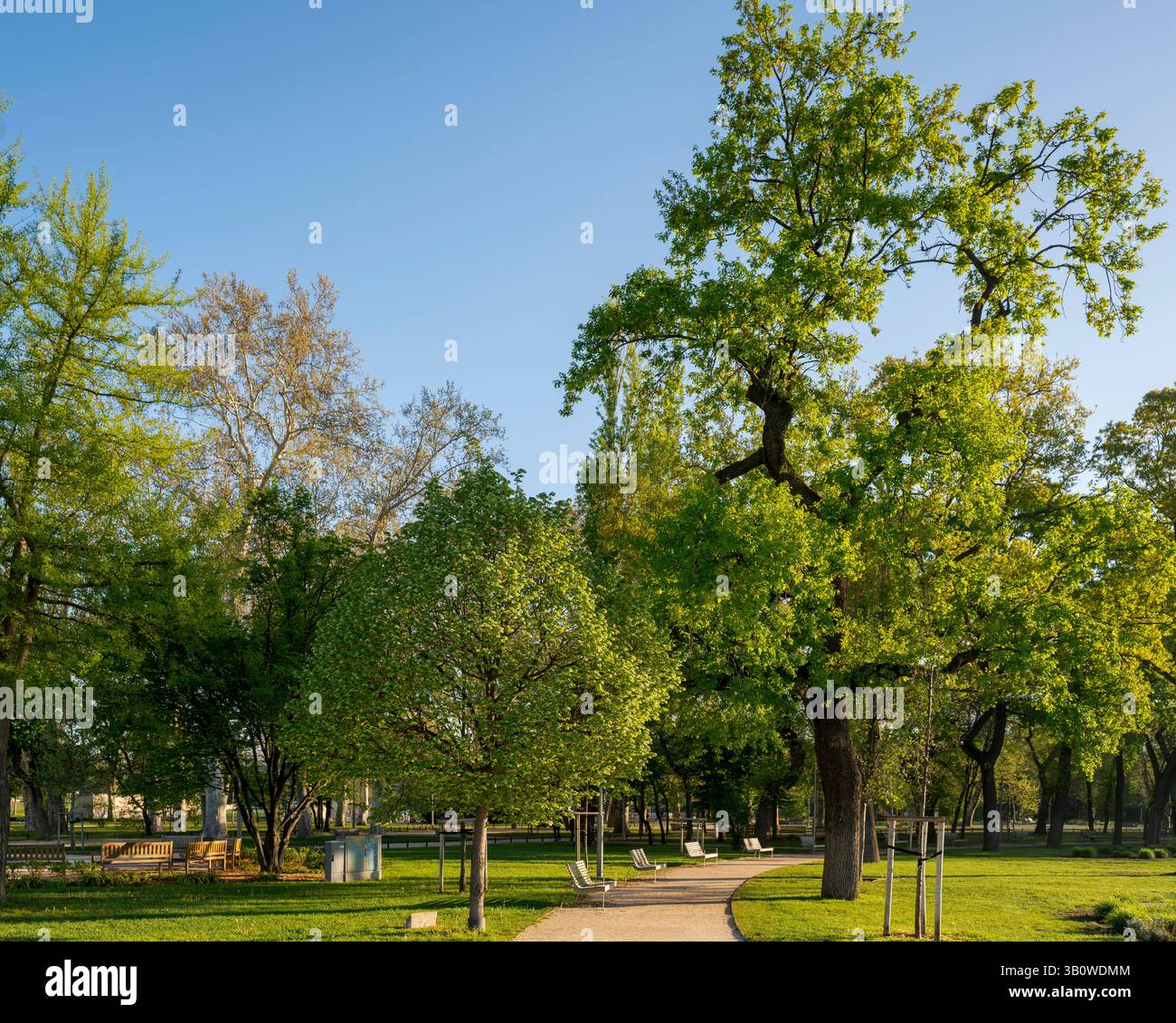 Spring moments in City park of Budapest. Hungarian name is Varosliget ...