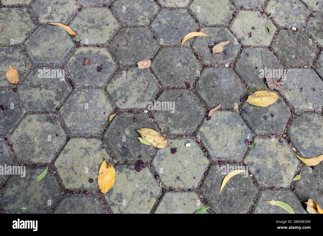 Hexagonal tile wall gray hi-res stock photography and images - Alamy