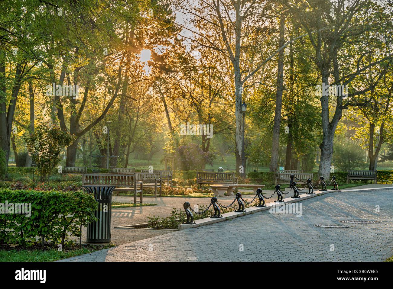 Spring moments in City park of Budapest. Hungarian name is Varosliget ...