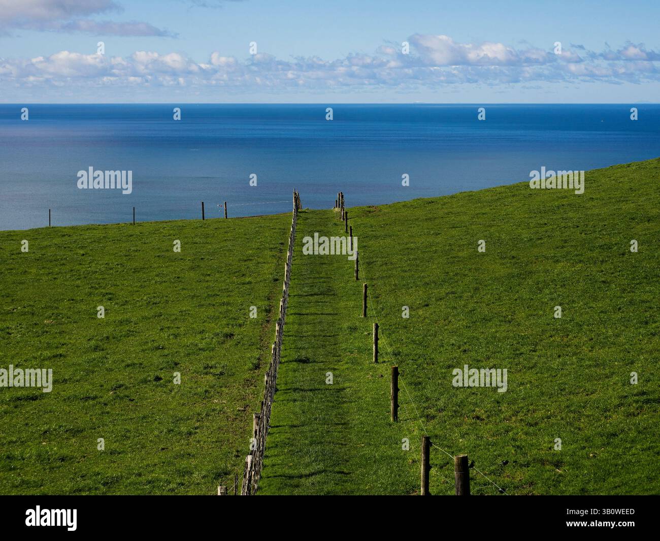Stereotypical New Zealand nature landscape, green rolling hills pasture ...