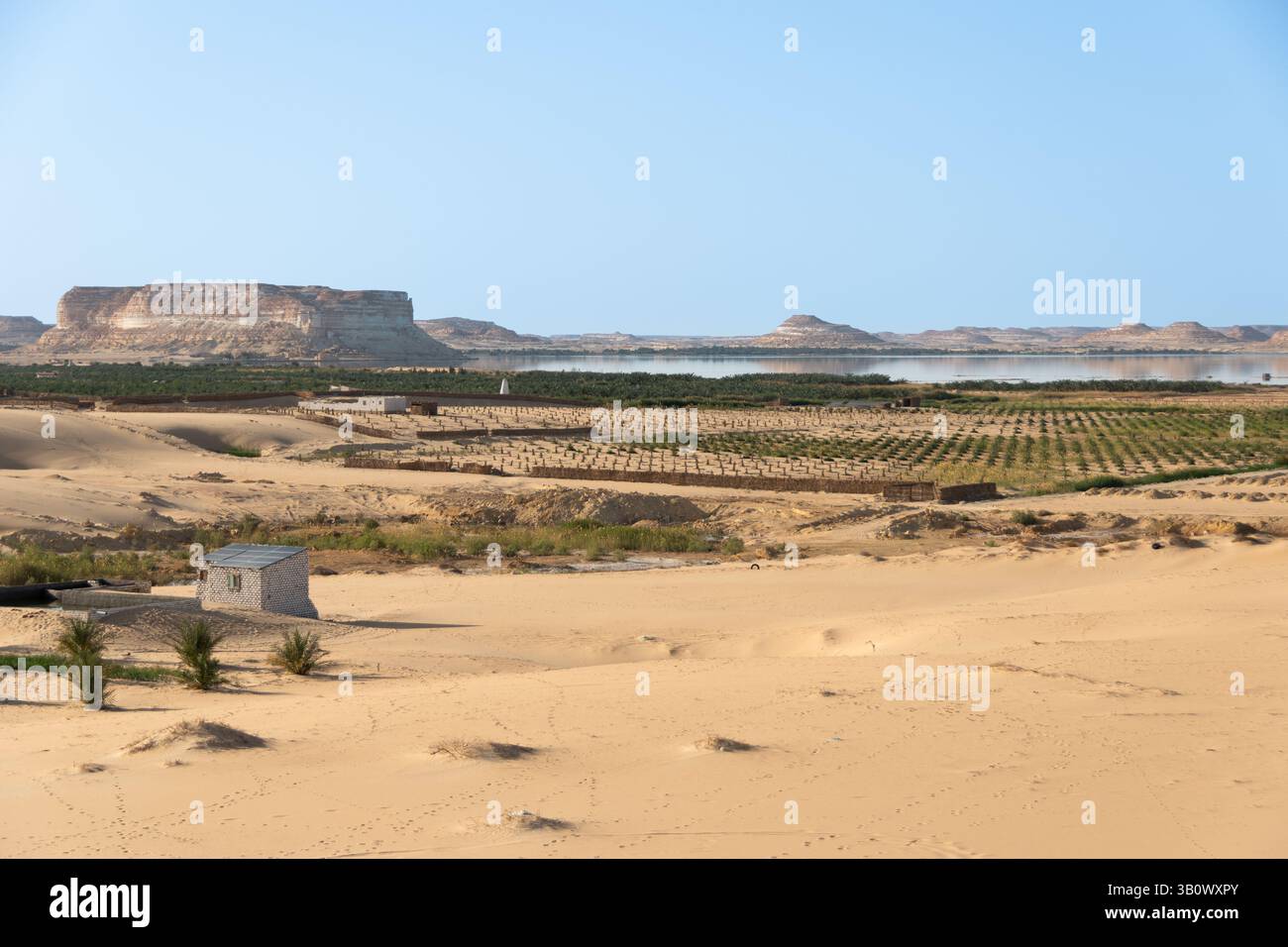 Siwa lakes hi-res stock photography and images - Alamy