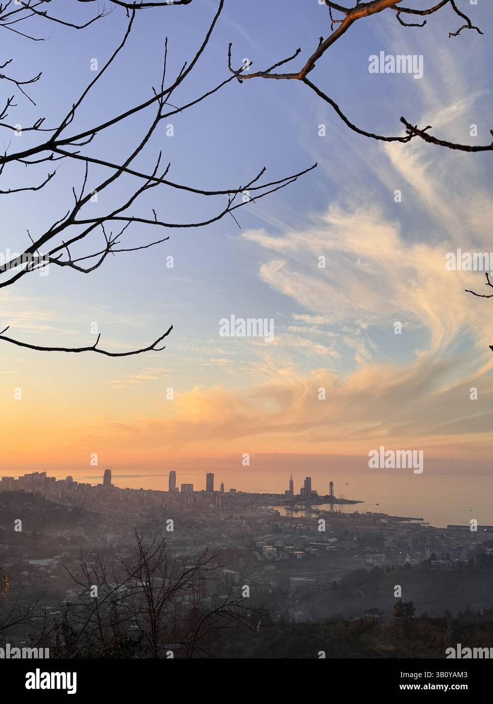 Skyline buildings trees branches hi-res stock photography and images ...