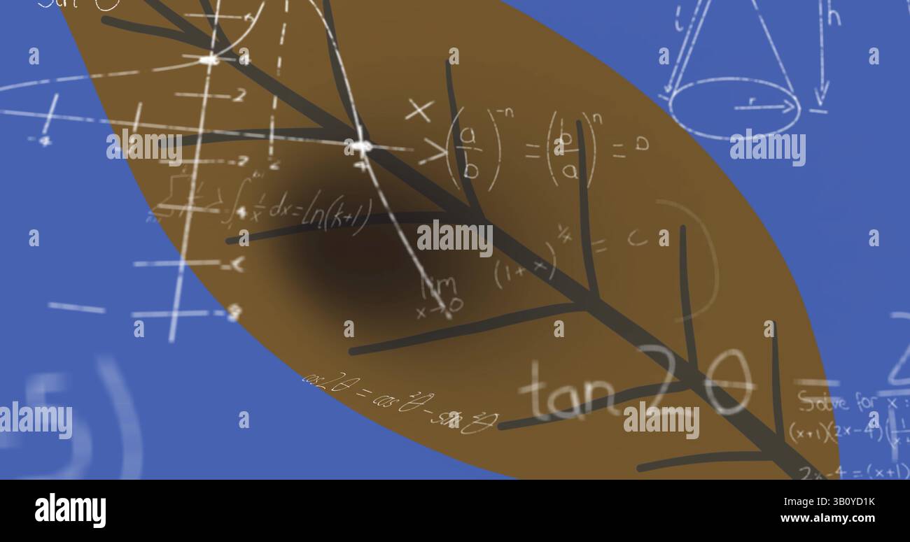 Image of mathematical equations and leaf on blue background Stock Photo ...