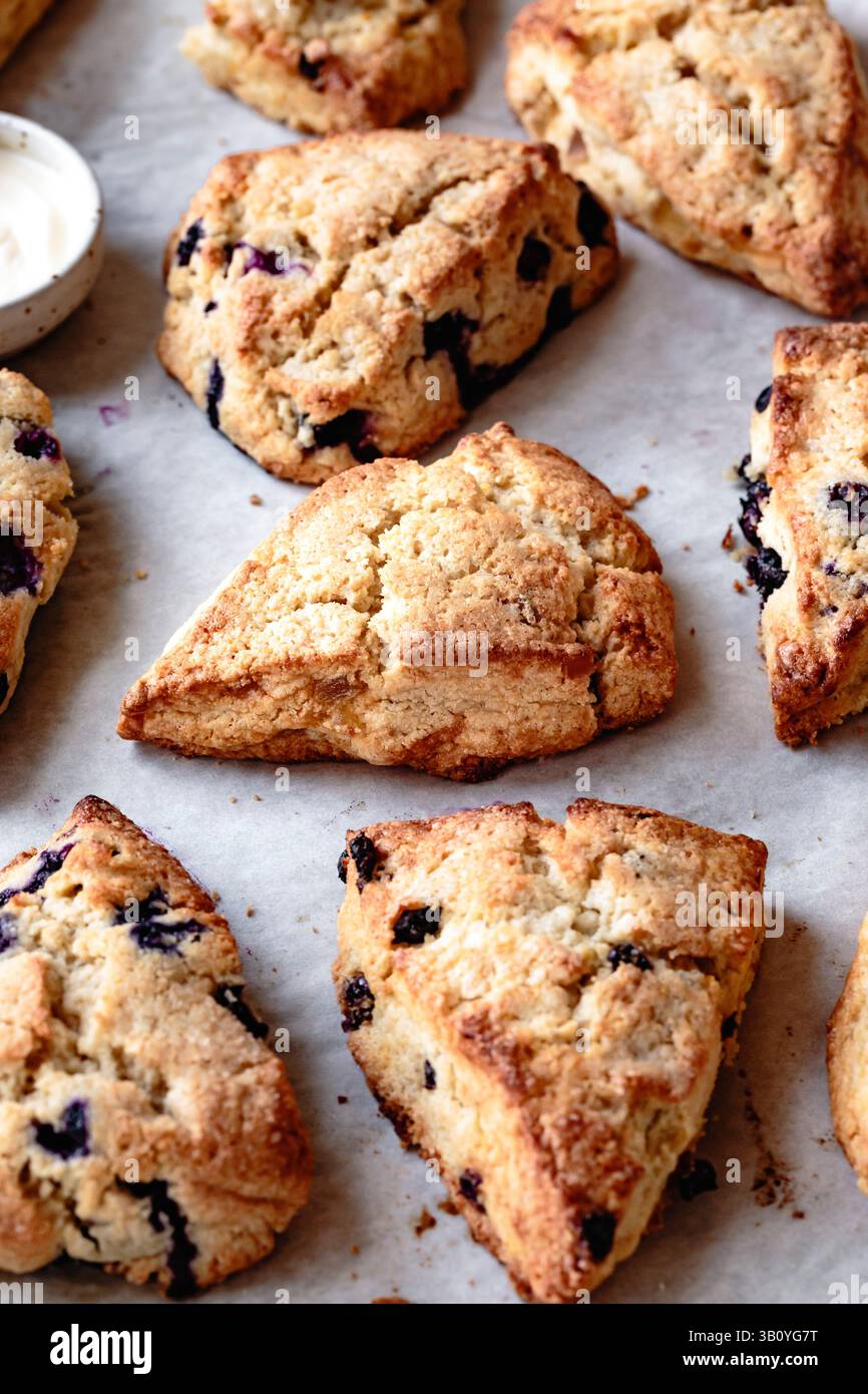 Freshly baked blueberry scones on parchment paper Stock Photo - Alamy