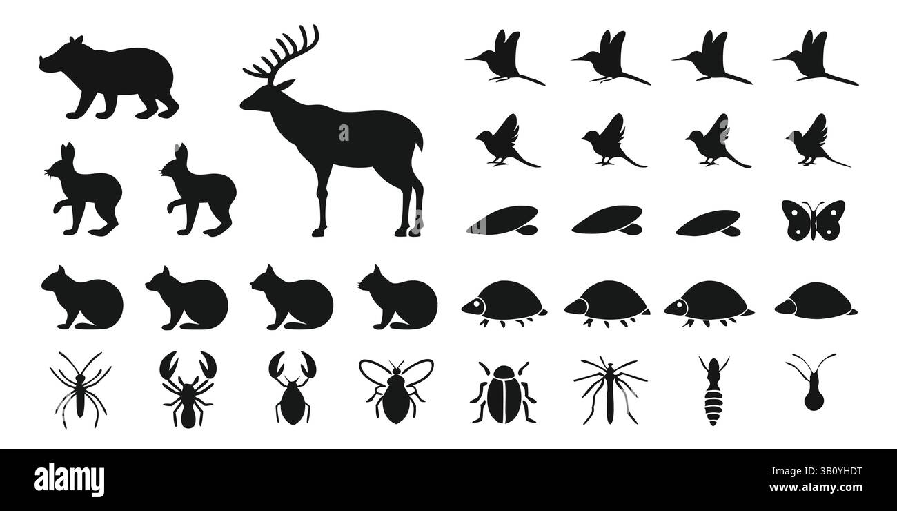 Zwierzeta ladowe hi-res stock photography and images - Alamy