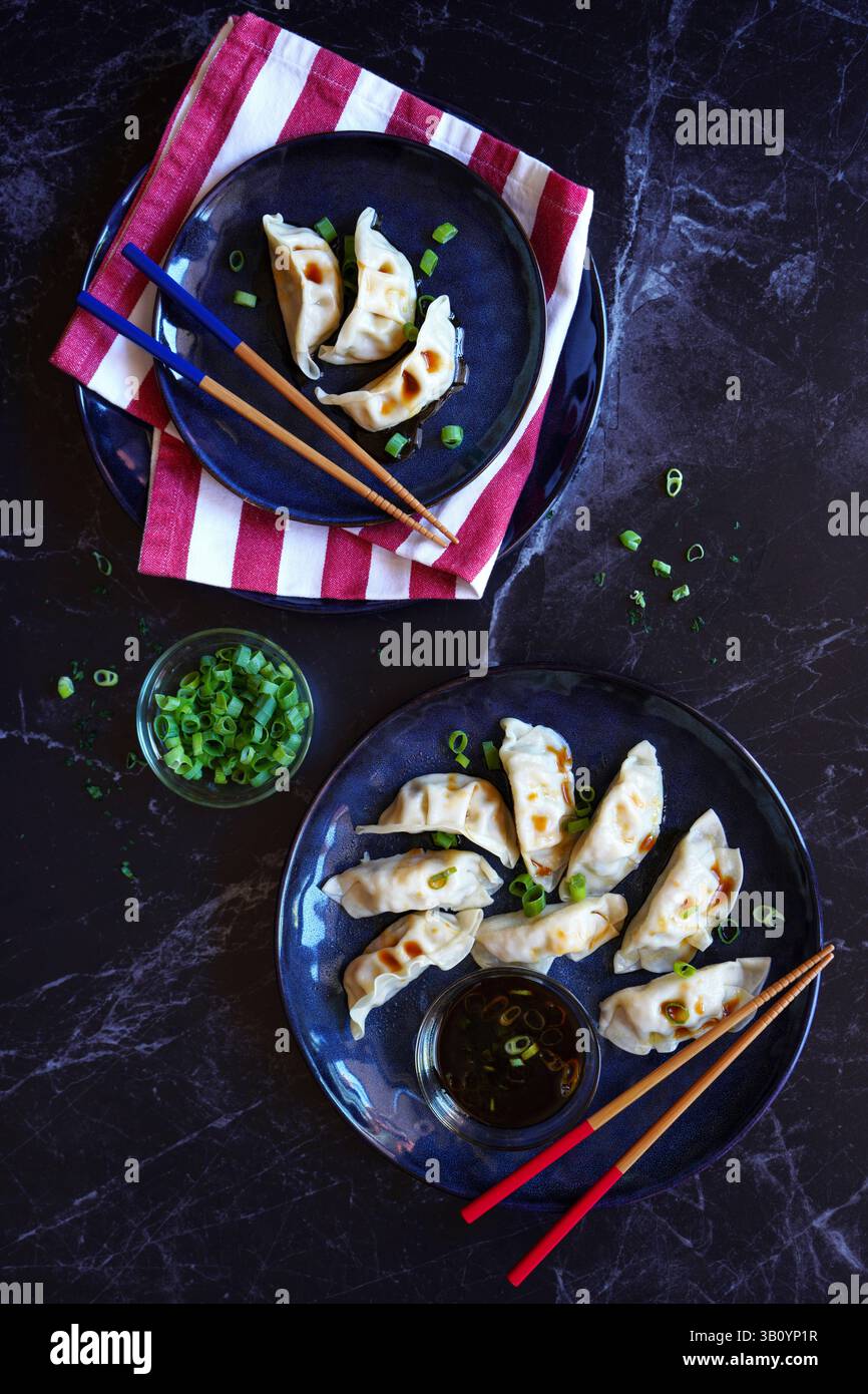 Steamed Vegetable Japanese Gyoza Dumplings Served with Soy, Sesame Oil ...