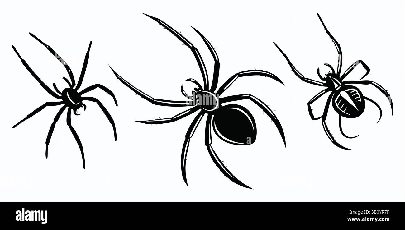 Black Spider Silhouette Collection - Creepy Insect Vector for ...