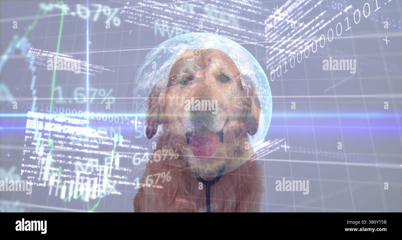 Graphic monitoring digital processing hi-res stock photography and ...