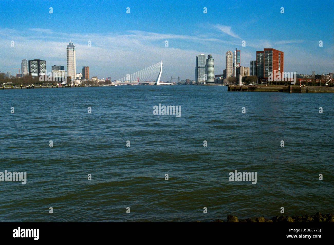 Skyline of Rotterdam. View on Nieuwe Maas River, Erasmusbridge and Kop ...
