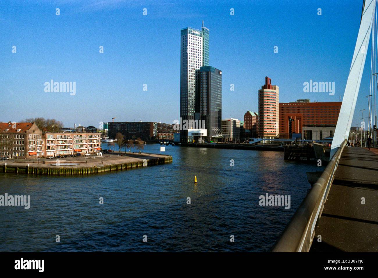 View on Noordere Island and kop van Zuid. Skyline of Rotterdam ...