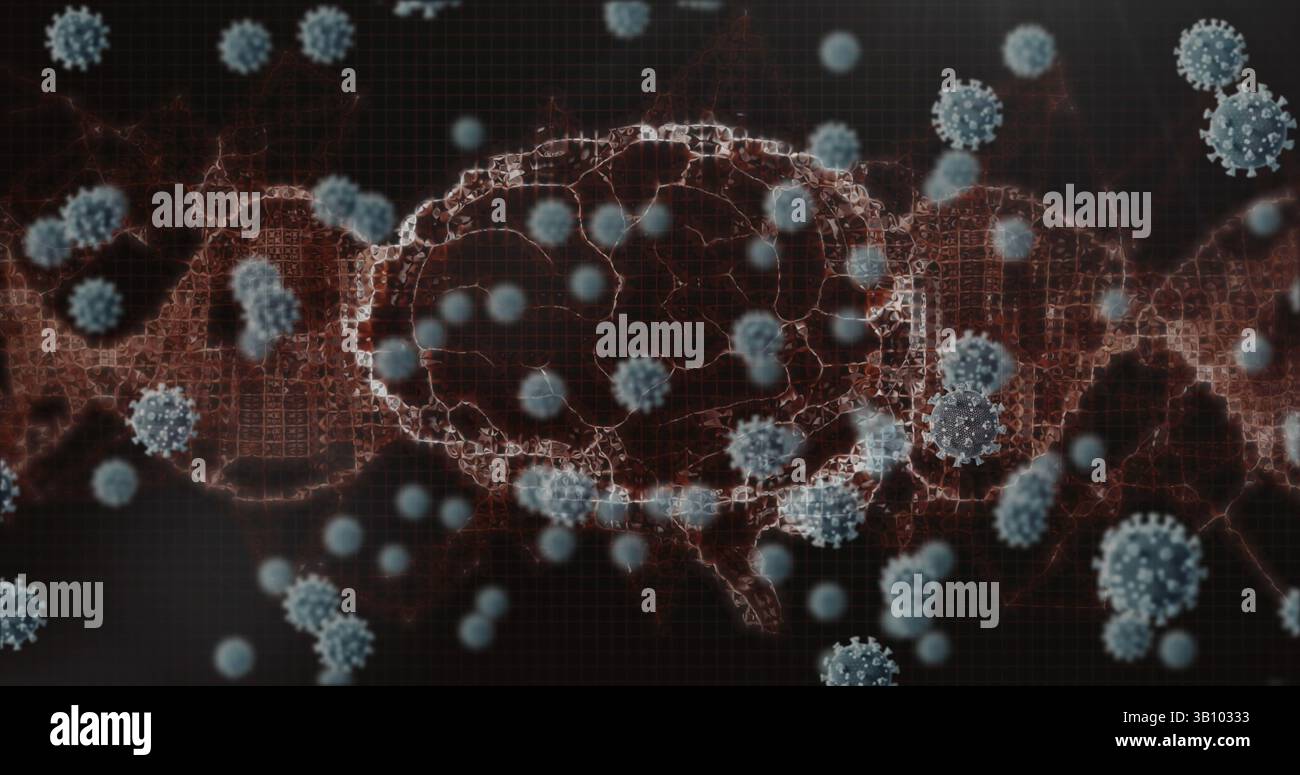 Image of virus cells over brain and black background Stock Photo - Alamy