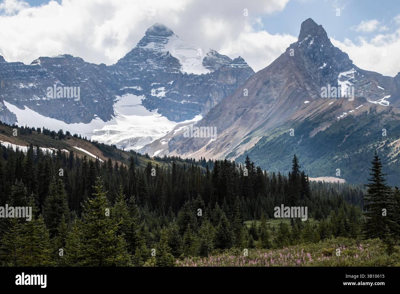 Towering mountain peaks rise under a cloudy sky, surrounded by dense ...