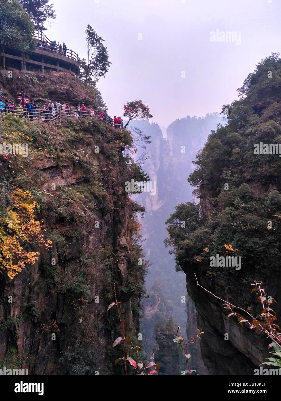 Zhangjiajie National Park, China, famed for towering sandstone pillars ...
