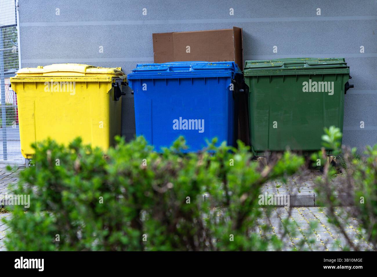 Colored garbage cans, waste segregation, paper, glass, bio-waste Stock ...