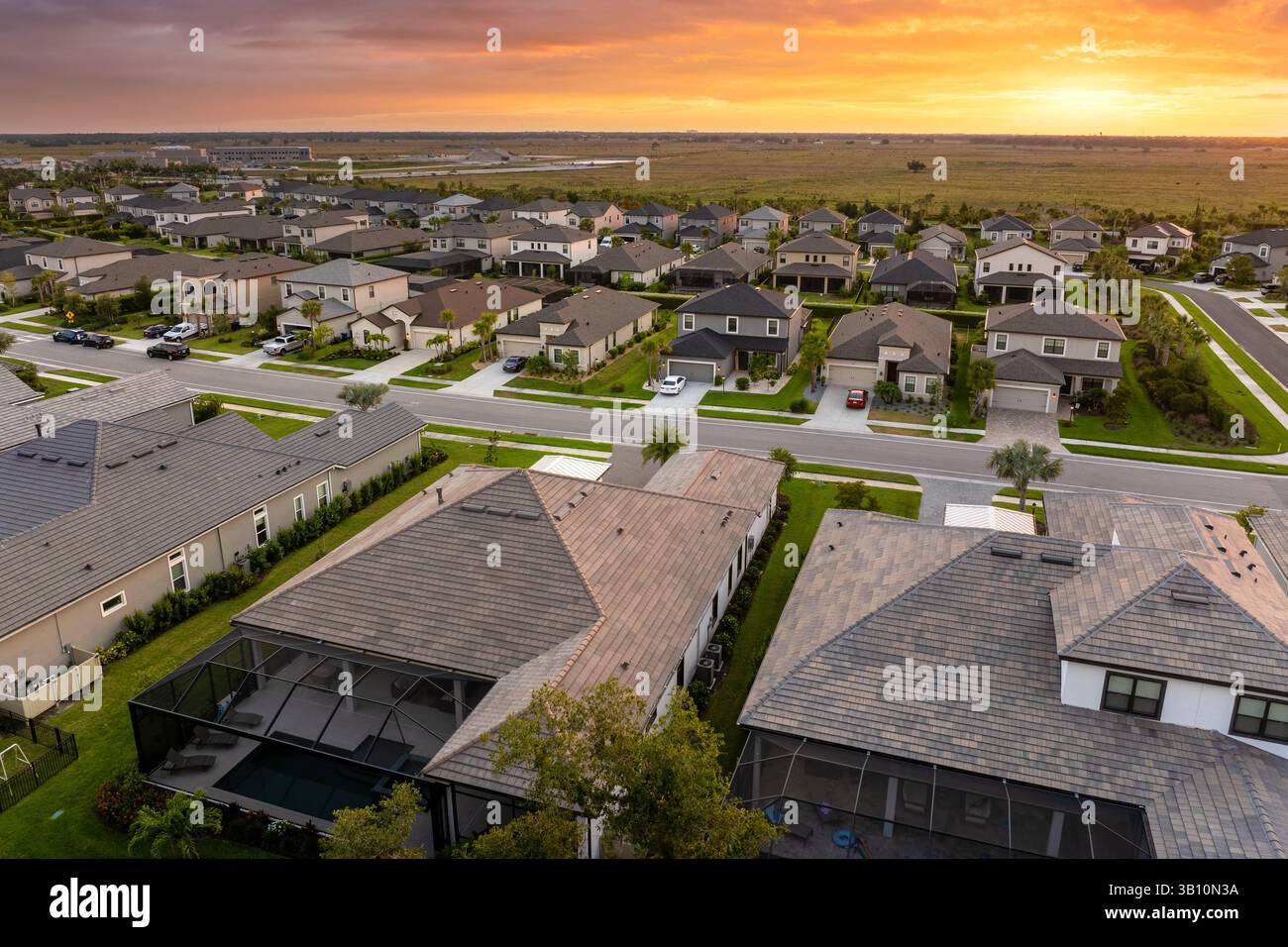 Expensive mansions between green palm trees in southwest Florida ...