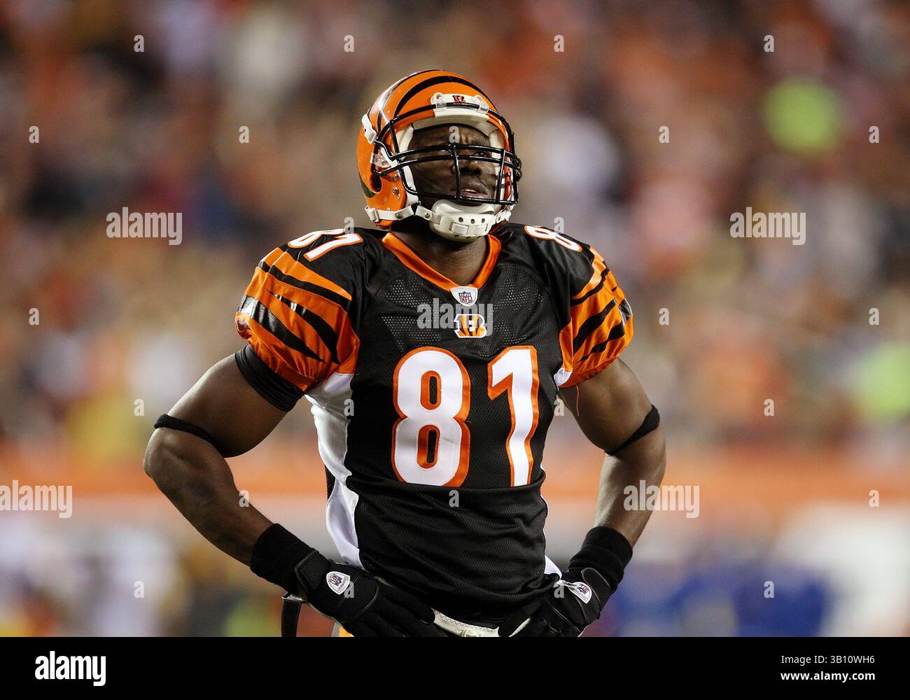 Terrell owens bengals hi-res stock photography and images - Alamy
