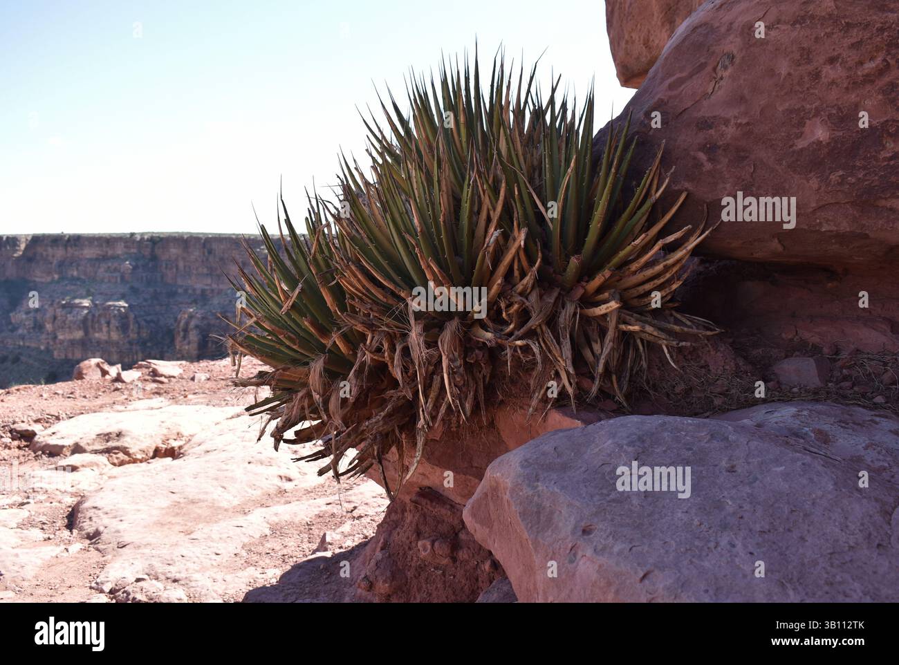 Grand Canyon National Park in Arizona, USA – breathtaking landscape ...