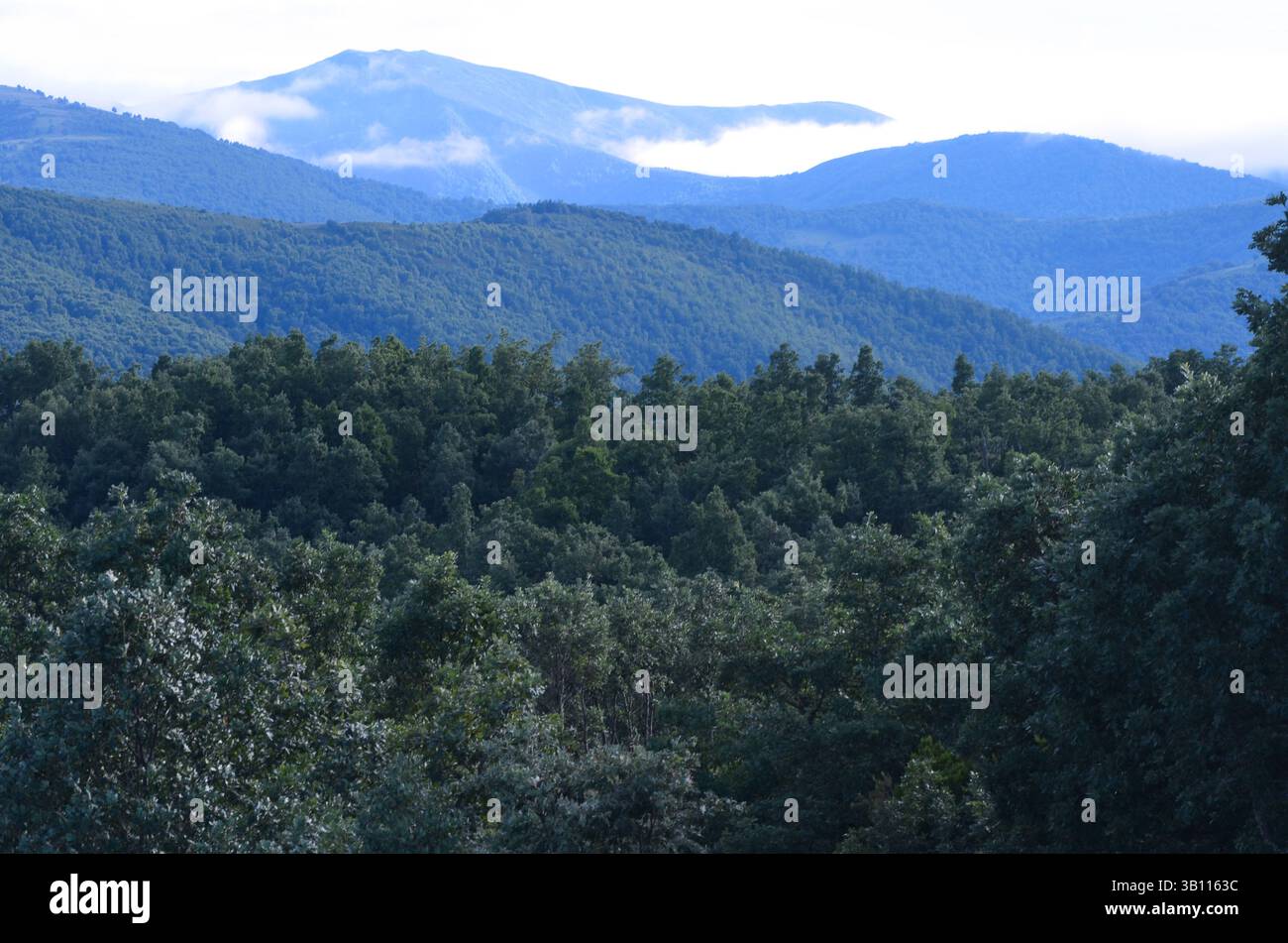 Deciduous forests in the Cantabrian Mountains range (Leon, Northern ...