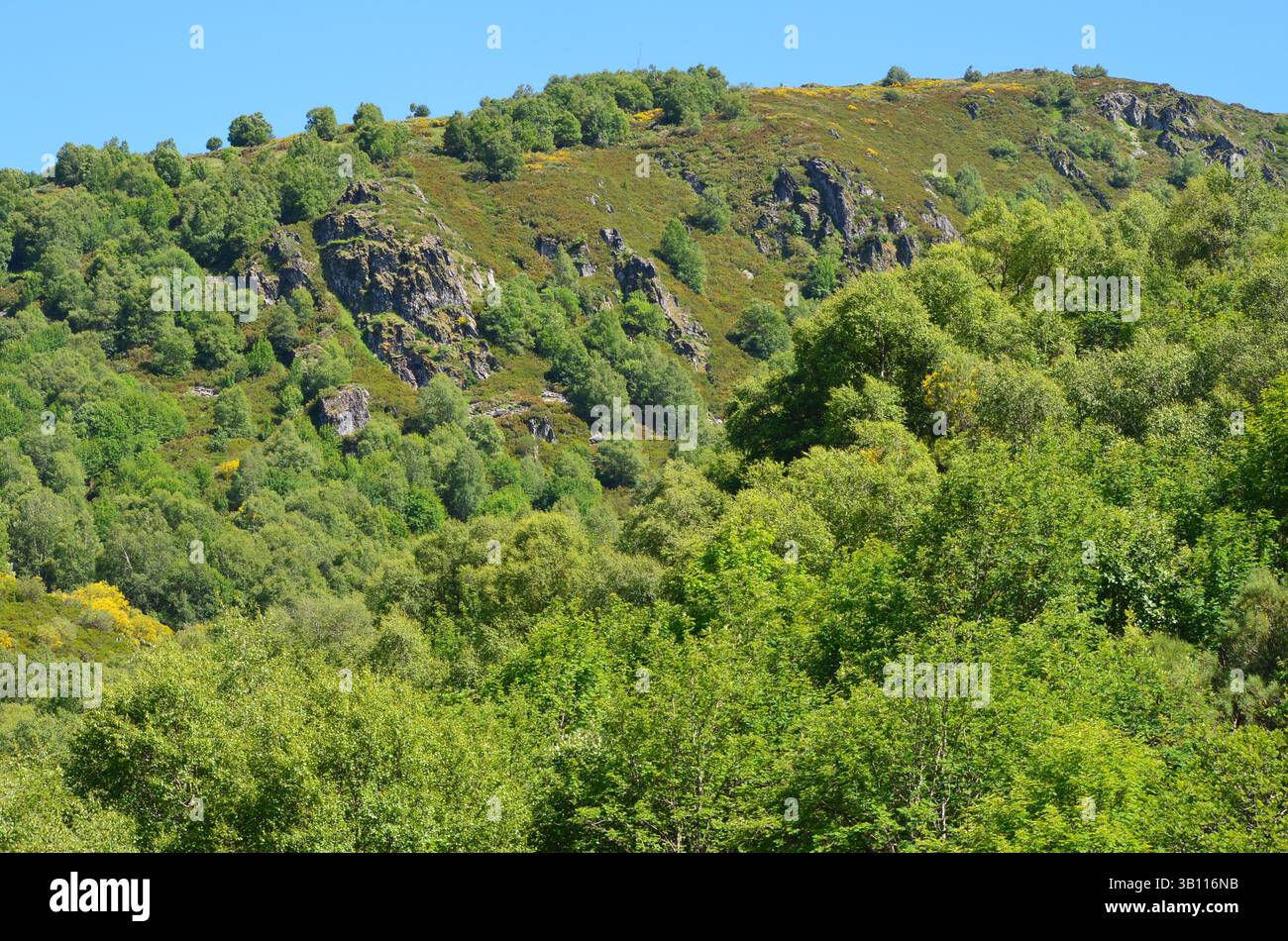 Deciduous forests in the Cantabrian Mountains range (Leon, Northern ...