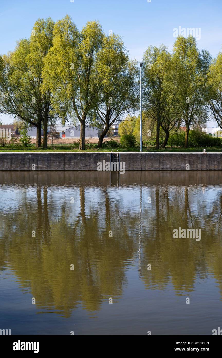 Tree reflections in the river Lys in Halluin, DÃ partement du Nord ...