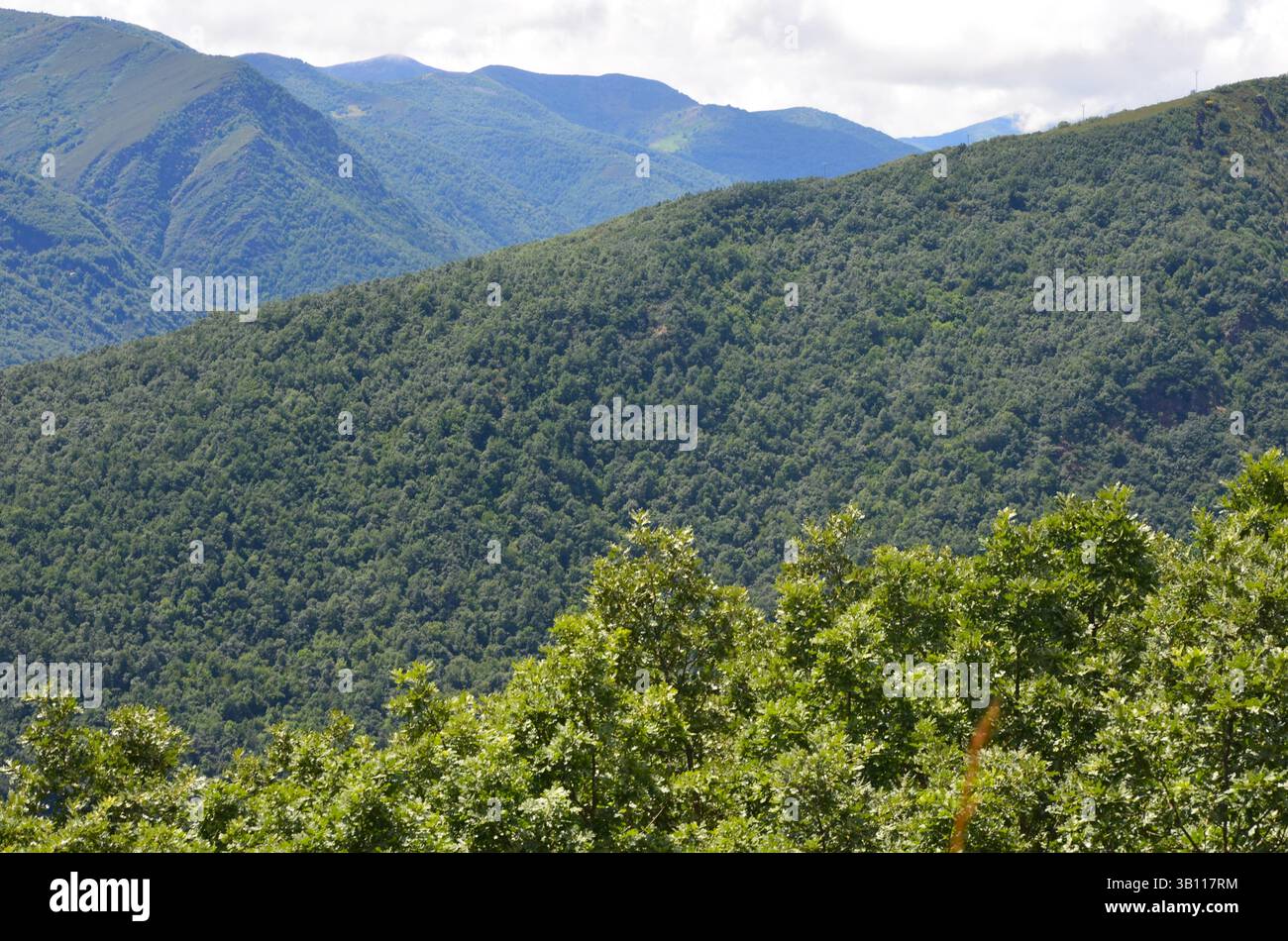Deciduous forests in the Cantabrian Mountains range (Leon, Northern ...
