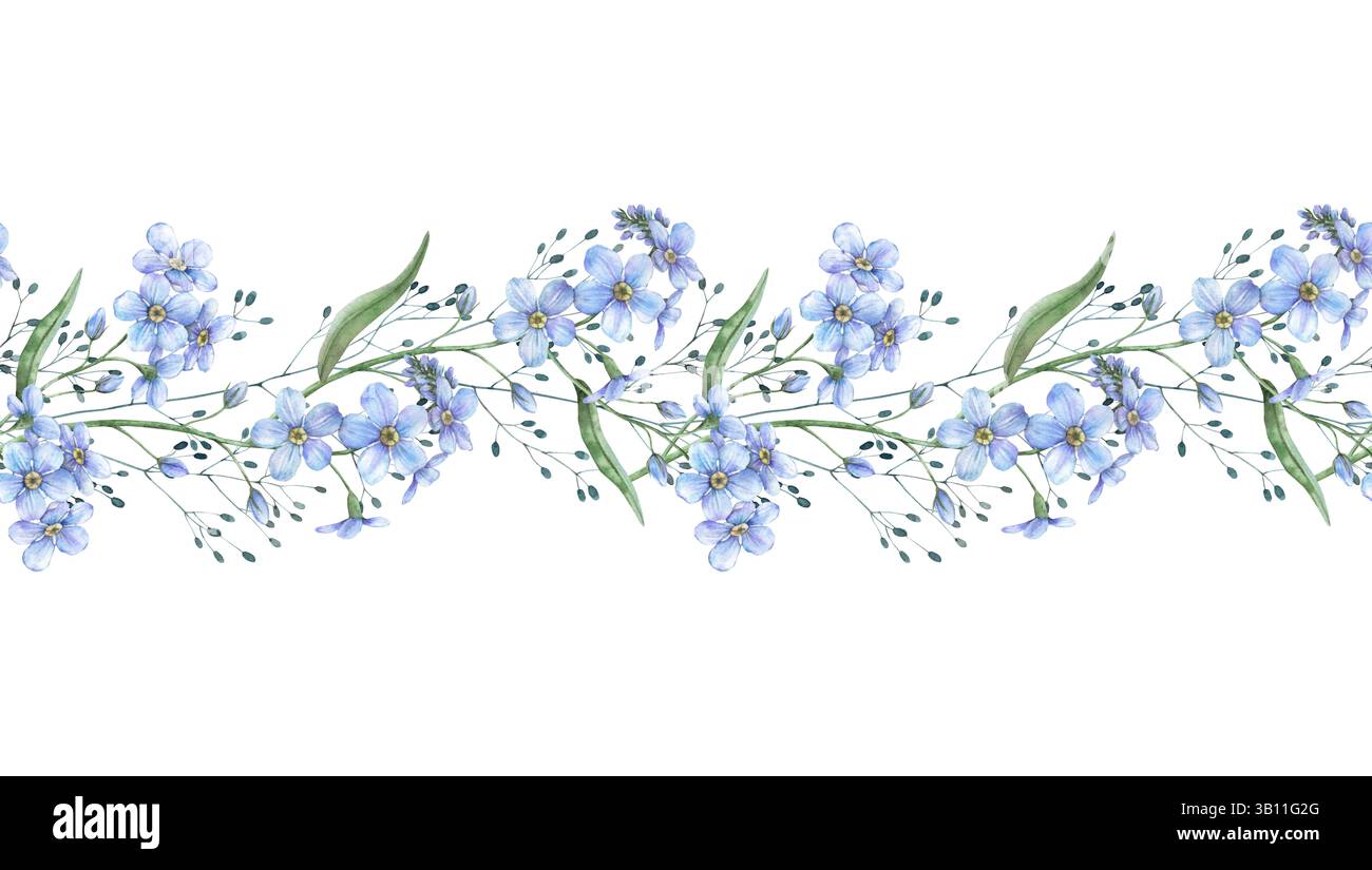 Blue beautiful branches of forget-me-nots with wild herbs. Botanical ...