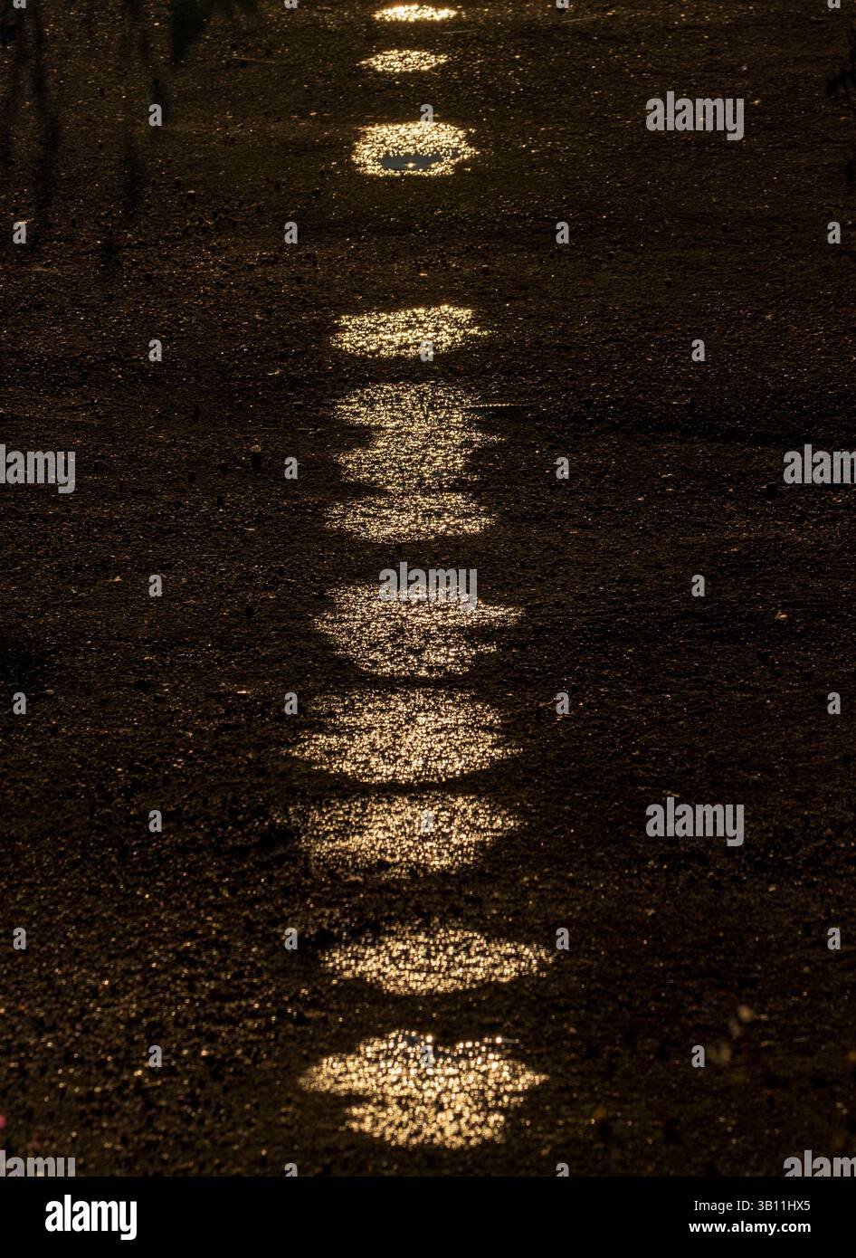 Sunrise Imprints: Wet Patterns on Concrete Stock Photo - Alamy