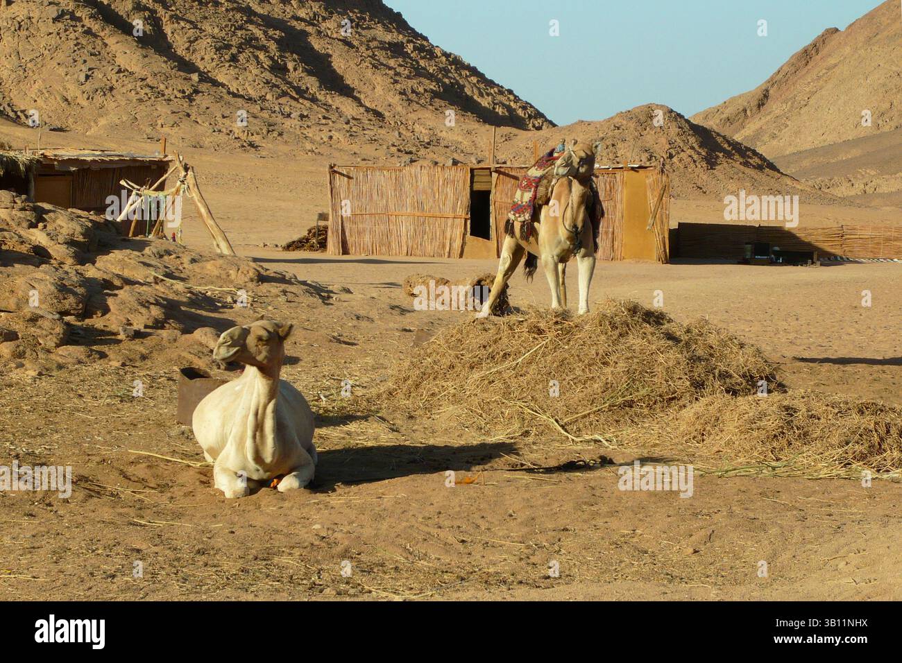 Temple complex in Egypt, stone ruins, desert landscape Stock Photo - Alamy