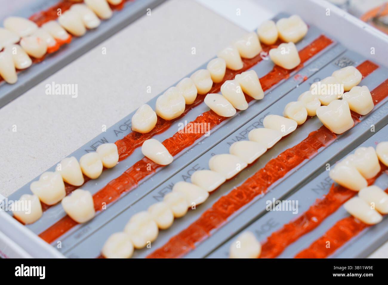 Rows of dentures arranged meticulously on a tray indicate the careful ...