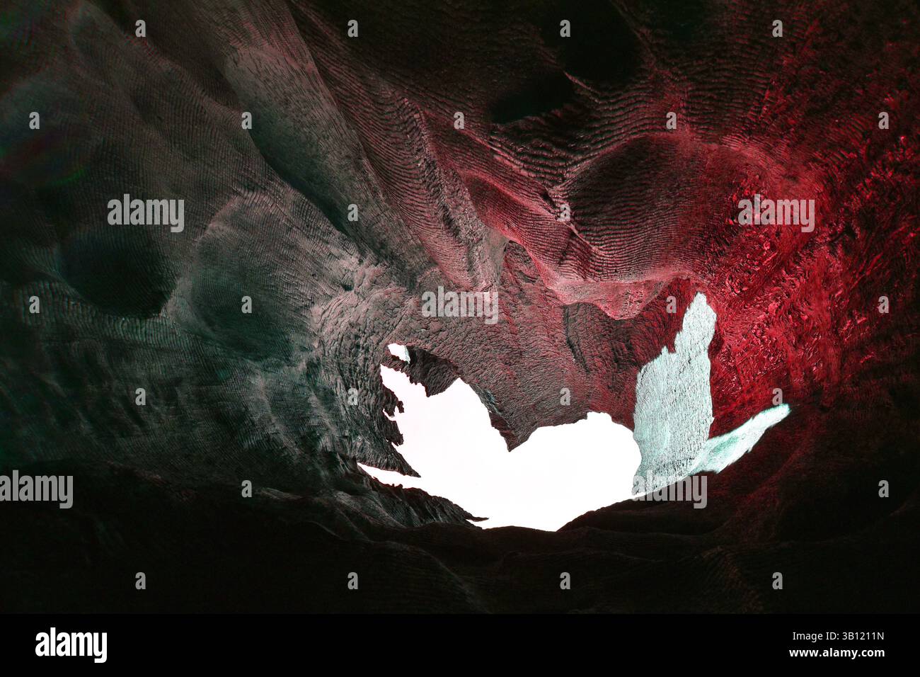 Interior of a burnt giant sequoia tree, revealing charred textures ...