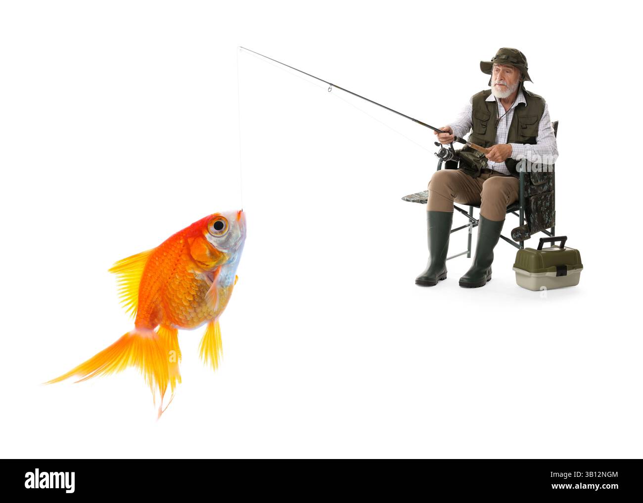Fisherman catching goldfish with rod on white background Stock Photo ...