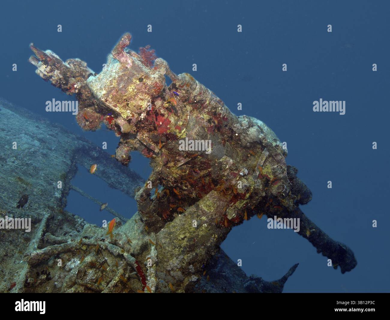 Mar rojo egipto hi-res stock photography and images - Alamy