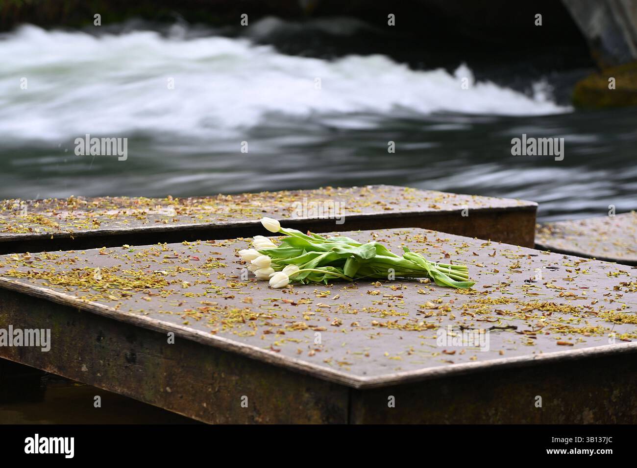 Mennchner Eisbachwelle nach Surf-Unfall gesperrt. Die sogenannte ...