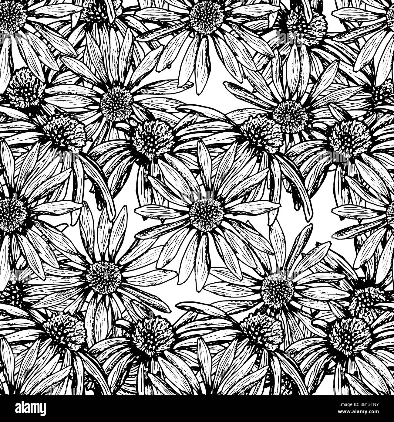 Vector seamless pattern with hand-drawn chamomile, echinacea and arnica flowers. Intricate black ...