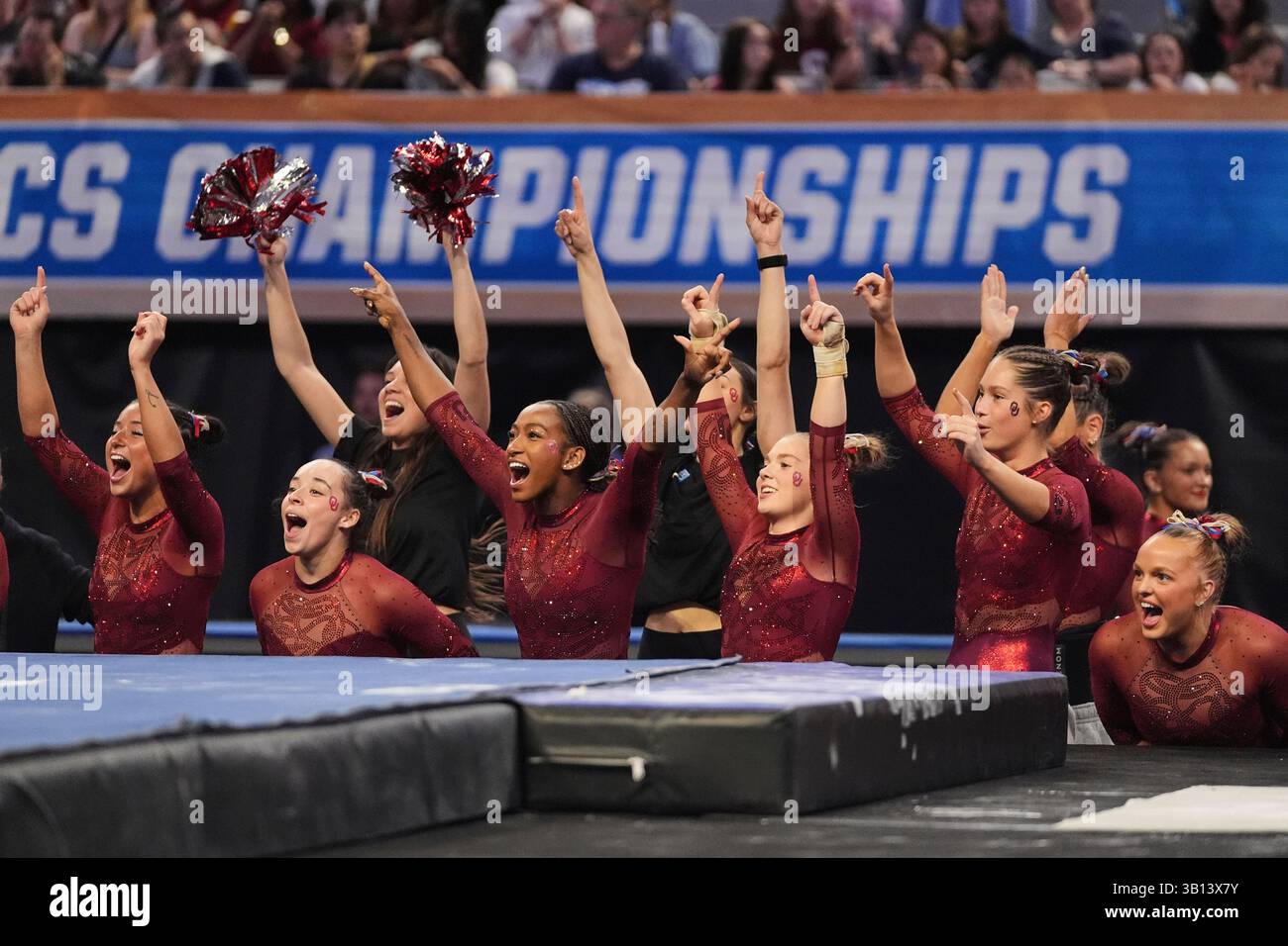 Oklahoma gymnast cheer Audrey Davis as she competes on the floor ...