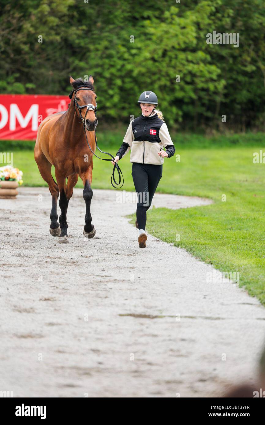 Astrid Friis Nilaus of Denmark with Bartoli Row during the CCI2* L ...