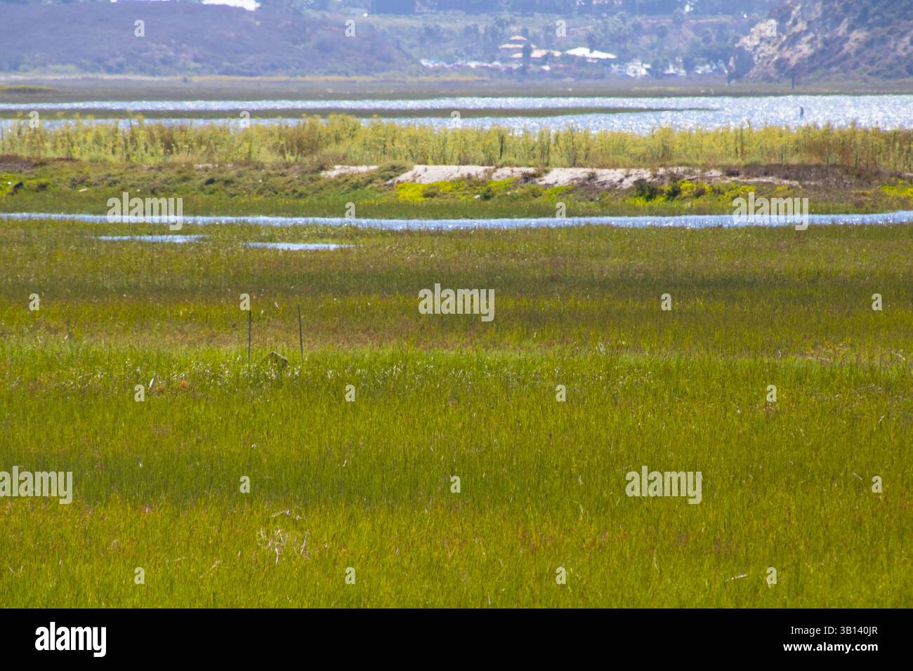 coastal landscape with blue water and greenery Stock Photo - Alamy