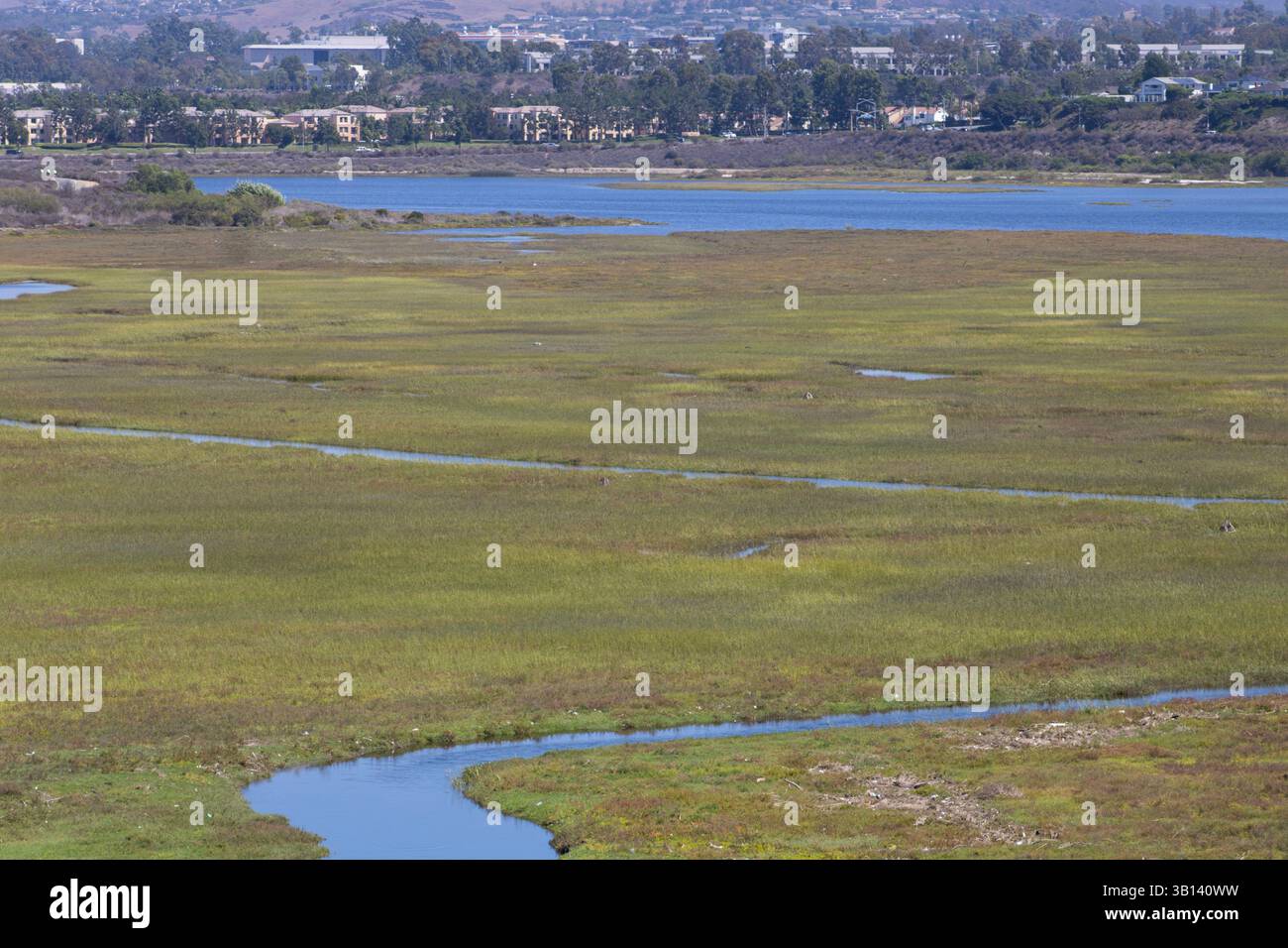 coastal landscape with blue water and greenery Stock Photo - Alamy