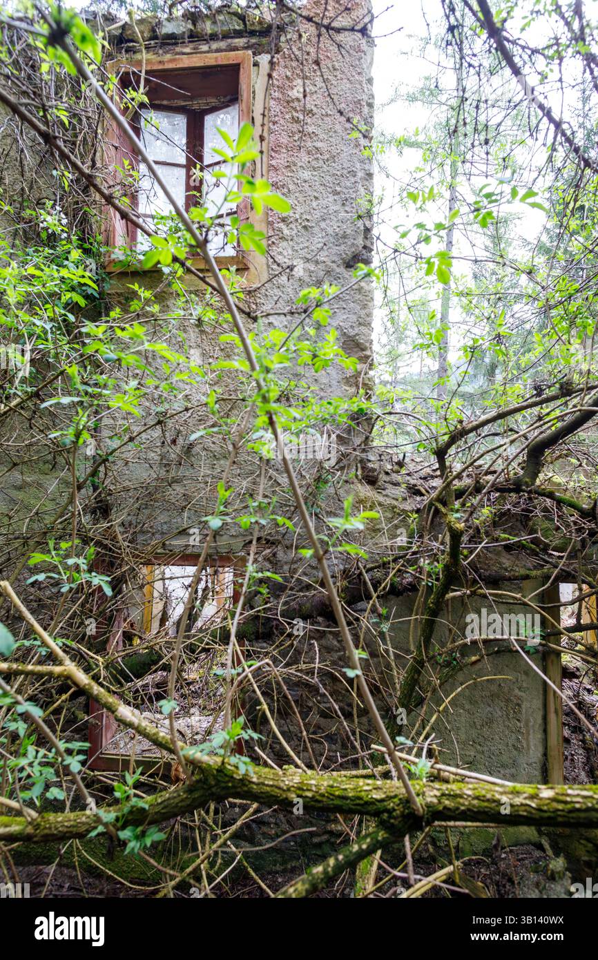 Dense overgrowth hi-res stock photography and images - Alamy