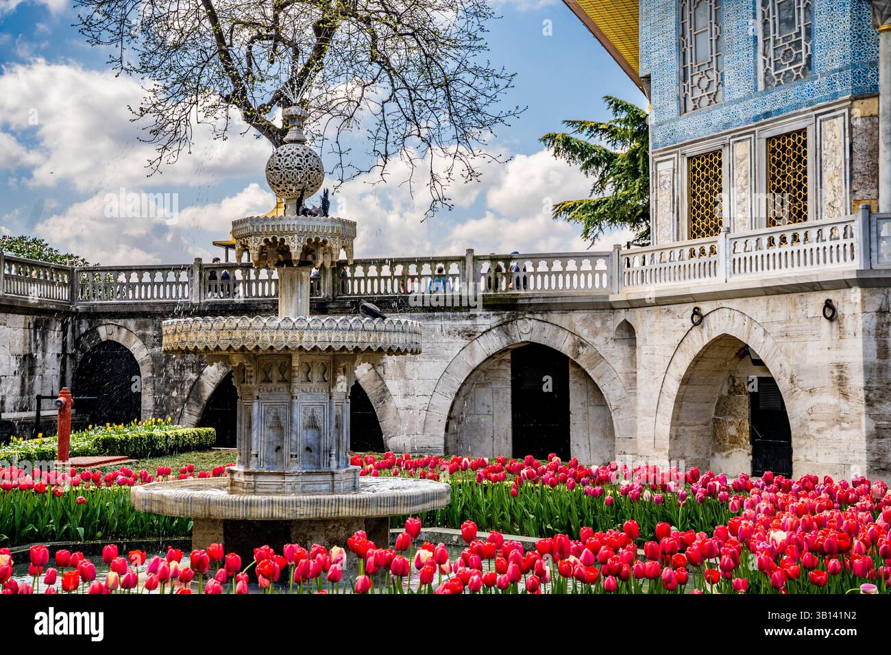 Fountain surrounded by blooming red tulips in front of the ornate ...
