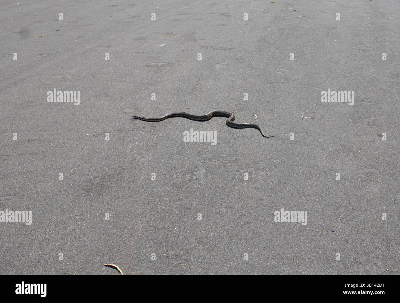 Asphalt road movement along road hi-res stock photography and images ...